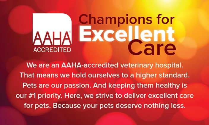 We are AAHA Accredited - Garden Ridge Animal Hospital in Lewisville, TX